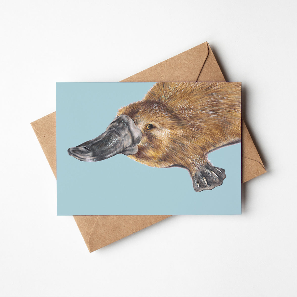 Platypus/blue Greeting Card – Hayley Wilson