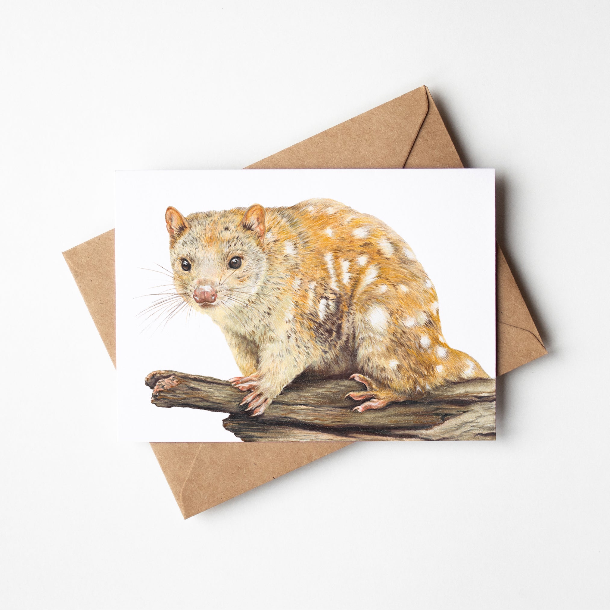 Spotted-tailed Quoll Greeting Card – Hayley Wilson