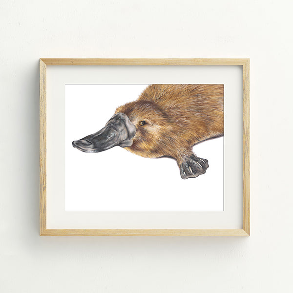 Platypus Print – Hayley Wilson